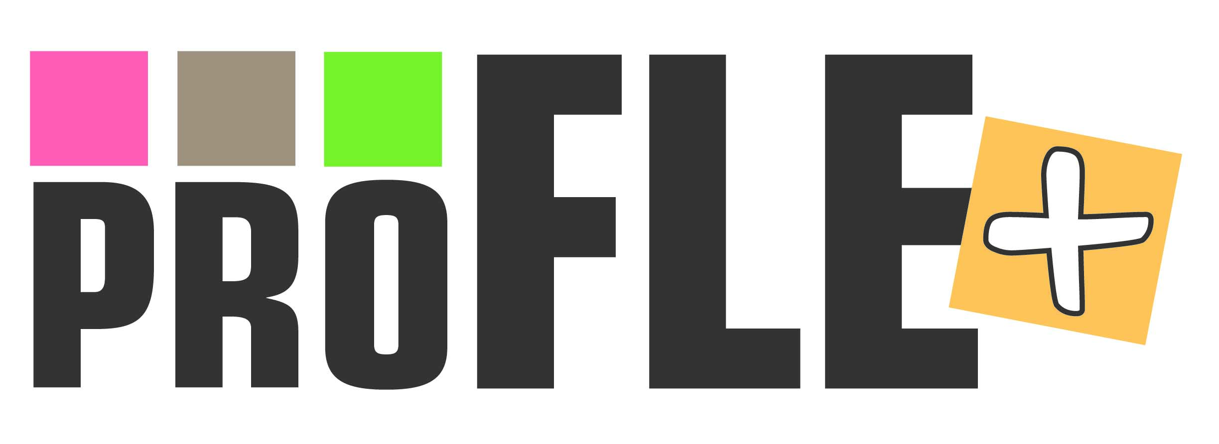Pro FLE+ - French Institute in India